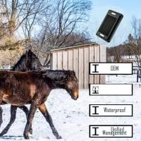 China Long Battery Life 20000mAh Solar Power Collar GPS Tracking for Livestock Cows Waterproof IP67 GPS Tracker 4G Tracker for Cattle for sale