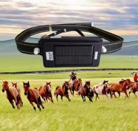 China Long Battery Life 20000mAh Solar Power Collar GPS Tracking for Livestock Cows Waterproof IP67 GPS Tracker 4G Tracker for Cattle for sale
