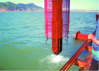 China IP65 Electric Vibration Pile Driver 50 Kg Black & Grey for sale