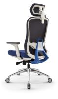 China Ergonomic Mesh Office Chair Adjustable Height Swivel Executive Lift Chair 120kg Capacity for sale