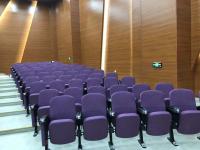 China Molded Foam Solid Wood Auditorium Theater Seating Function University Lecture Hall Chair for sale