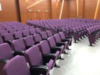 China Molded Foam Solid Wood Auditorium Theater Seating Function University Lecture Hall Chair for sale