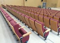 China Customized Commercial Theater Seating Metal Frame School Conference Room Lecture Hall Chairs 500mm Seat Pitch for sale