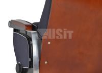 China Commercial Using Auditorium Theater Seats  , school auditorium seating Equips Air Supply Device for sale