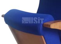 China Luxury Folded Up Plywood Auditorium Theater Seats Europe Style 580mm Center with Air Supply for sale