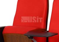 China Red Church Theatre Seating Wood Outer Back Auditorium Chair 580mm Center for sale