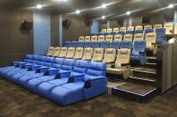 China Church Public Cinema Armchairs Fabric Auditorium Seating 55kg/m3 Foam Density for sale