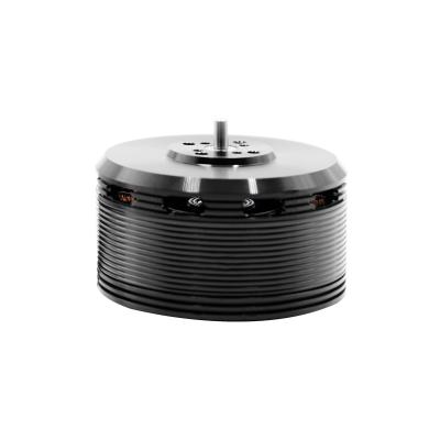 China 6S-12S 170KV 310KV Micro Brushless DC Drone Motor Airplane Aircraft Racing Drone Motor for sale