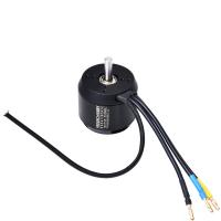 China 6355 6374 6384 63100 Motorized Belt Drive Esk8 2450w 24v 48v Electric Skateboard Brushless Dc Motor for sale