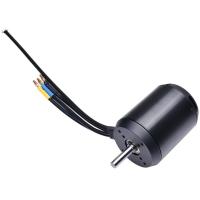 China 6384 190KV 4000W Dual Hub Belt Direct Drive Dc Brushless Motor for Electric Skateboard Robot Scooter Go Kart Ect for sale