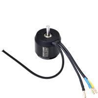China 6354/6355 190KV 2450W Dual Hub Belt Direct Drive Dc Brushless Motor for Electric Skateboard Robot Scooter Go Kart Ect for sale