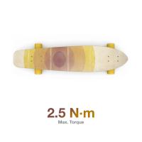 China 5055 Factory OEM ODM Brushless Remote Control Motor Electric Skateboard Motor DIY Skateboard Motor for sale