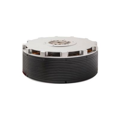 China 202/80 45kw Brushless Motor for Unmand Aerial System 200kg-400kg Lift Weight for sale
