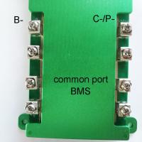 China 8S 24V 100A LiFePO4 Battery BMS Common Port Withstand 85V in Series for sale