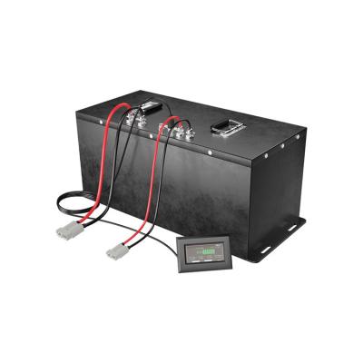 China PASSIONAL 48V 120Ah LiFePO4 Golf Cart Battery Pack Rechargeable with LED Display for sale