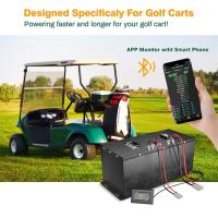 China Electric 51.2V 100Ah LiFePO4 Battery for Golf Cart LFP Lithium Ion Car Battery for sale
