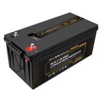 China 12V 200Ah LiFePO4 Lithium Battery Replace Lead Acid for Solar EV Forklift Energy Storage for sale