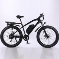 China Rechargeable 36V 8Ah Li-Ion Ebike Battery Pack 18650 Hailong for Electric Bicycle for sale