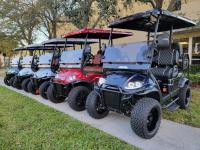 China Customizable Color High End Upgradeable TOP Golf Car EV2 25mph 48V for sale