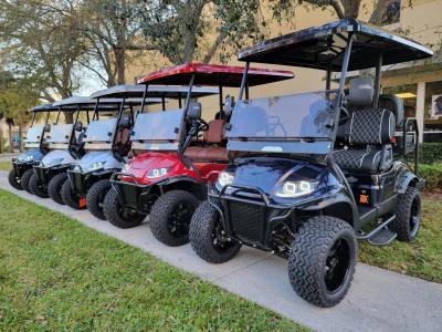 China Customizable Color High End Upgradeable TOP Golf Car EV2 25mph 48V for sale