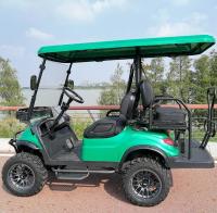 China Off Road Electric Lifted Golf Cart 10 Inch TFT IP66 CARplay Display 4 Seater Mini for sale
