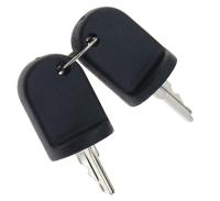 China 605637 605946 609680 Ignition Keys Set Fits for EZGO 2008-Up EZGO RXV Golf for sale