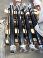 China Excavator Hydraulic Cylinders for Wacker Neuson Standard Arm Boom Bucket Custom Sizes for sale