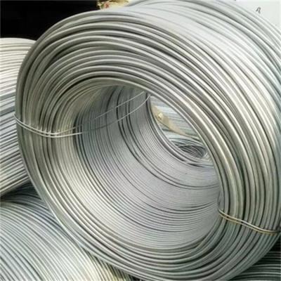 China 5.5mm Galvanized Steel Wire Rope Nylon PA12 Coated Galvanized Iron Wire 500kg for sale
