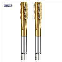 China Two Flutes Thread Cutting Hand Taps M2 HSS M35 PM Material Customized Size for sale