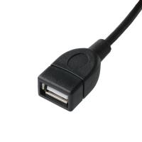 China USB Cable Set For IC7 USB-A 2.0 Receptacle To Molex 51021-0400 RM 1.25mm 4Pin External Expansion Adapter for sale