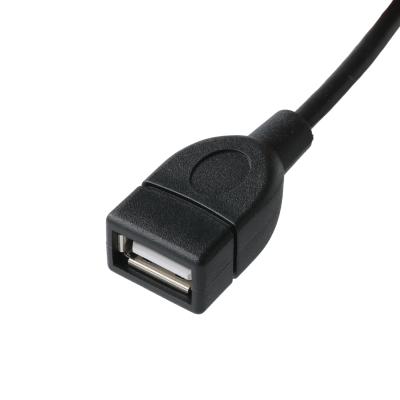 China USB Cable Set For IC7 USB-A 2.0 Receptacle To Molex 51021-0400 RM 1.25mm 4Pin External Expansion Adapter for sale