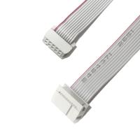 China 2 Row Flat Ribbon Cable Assembly AWM UL2651 10-Pin Female IDC with 1.27mm/2.0mm/2.54mm Pitch Options for sale