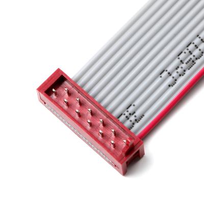 China IDC Flat Ribbon Cable Assembly – 2.54 mm Dual-Row Connector, Custom OEM for sale