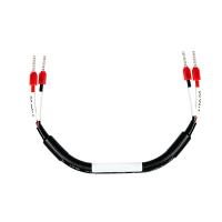 China Custom 24V 18AWG 2-Conductor Ferrule Power Cable Assembly for Industrial Equipment for sale