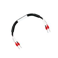 China Custom 24V 18AWG 2-Conductor Ferrule Power Cable Assembly for Industrial Equipment for sale