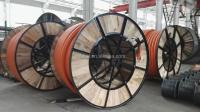 China High Voltage PVC Jacket TECK 90 Cable 3core AWG 12 for Needs for sale