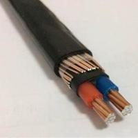 China 2x16mm Concentric Cable for Aobest Airdac Cable ISO Certified and Weather Dac Included for sale