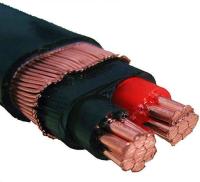 China Exporting 0.6/1KV 4 AWG Concentric Cable with PVC Insulation to Chile Power Station for sale