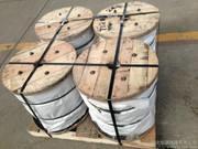 China Galvanized Steel Cable Stay Wire 19/10 AWG Rated Voltage 0.6/1 1.2 KV for Performance for sale