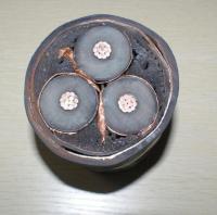 China Singapore Standard Power Cable Meets IEC Standard with Copper Conductor and PVC Jacket for sale