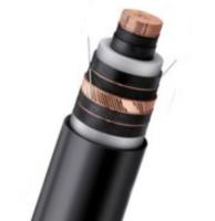 China HDPE Sheath 800mm2 66KV Copper Conductor XLPE Insulated Cable F 2XS FL 2Y for Control for sale