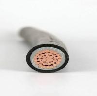 China 0.6/L KV Voltage 1*120mm2 YJV Type XLPE Insulated Power Cable with PVC Jacket for sale