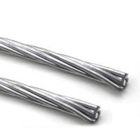 China BS IEC ASTM DIN Standard 50mm2 Zinc Coating Galvanized Steel Stay Wire for PE Insulation for sale