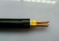 China KVV KVVP KVVP2 KVV22 KVVP2-22 KVVR KVVRP 22AWG multicore Shield Control Cable for sale