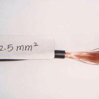 China 450/750V300/500V300/300V. 600/1000V Voltage 1 Core Cooper Conductor Single Core Wire for sale