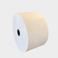 China Waterproof Unbleached Baking Paper Jumbo Roll for Parchment Paper Food Wrapping Paper for sale