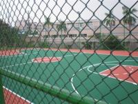 China Football Field 2mm Plastic Coated Chain Mesh Fencing 5x5cm for sale
