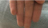 China 5x0.3m 6x6 Galvanized Square Wire Mesh Cement Mortar Iron Plain Weave for sale
