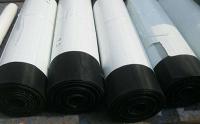 China 16 Mesh X16 Mesh Spray Window Screen Wire Mesh 50m X 0.5m for sale