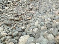 China 1/4 Inch Pvc Hexagonal Mesh Anti Scour Slope Revetment Reynolds for sale